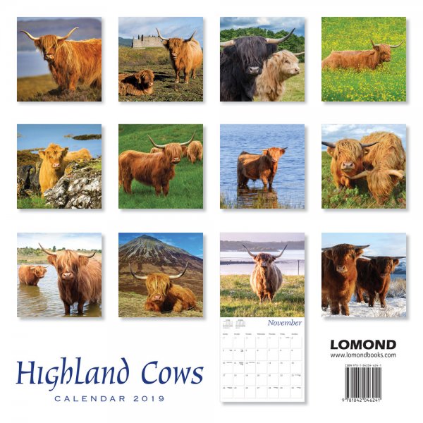 Highland Cows 2019 Calendar | Scotland House, Ltd.